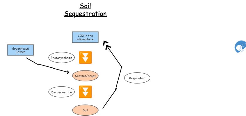 Soil Sequestration | Insight Maker