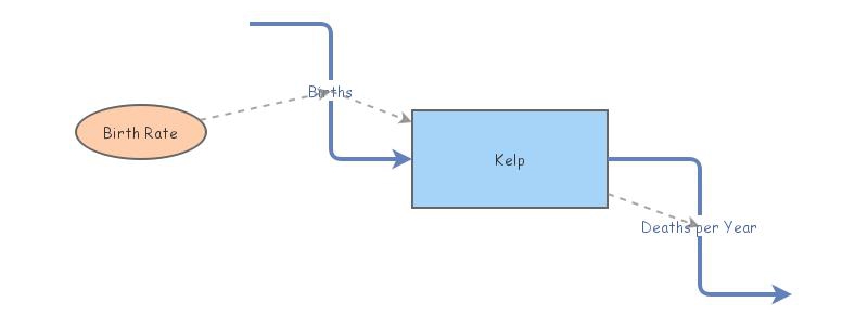 Kelp Exponential Decay with Variable | Insight Maker