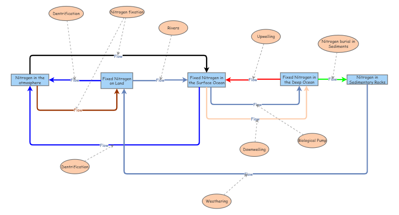 Nitrogen Cycle | Insight Maker