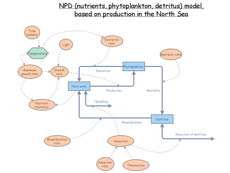 Clone of NPD model (Nutrients, Phytoplankton, Detritus) | Insight Maker