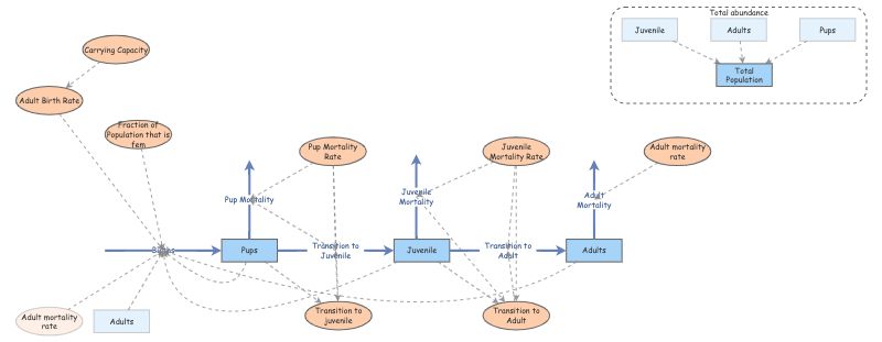 Otter PVA | Insight Maker