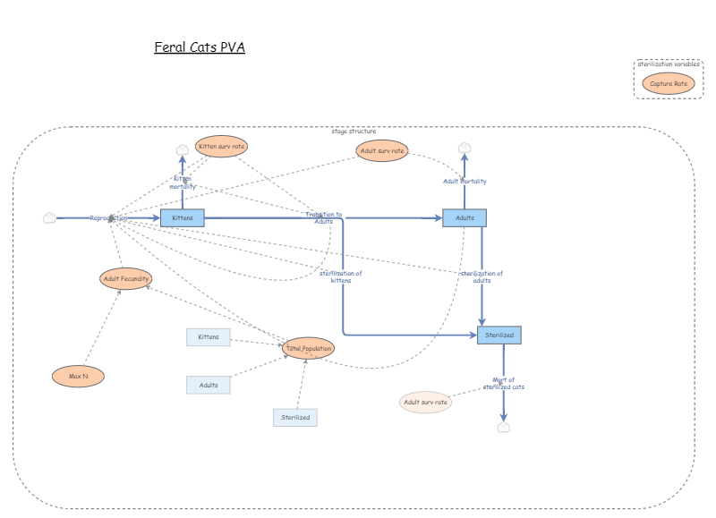 Feral Cats Final PVA | Insight Maker