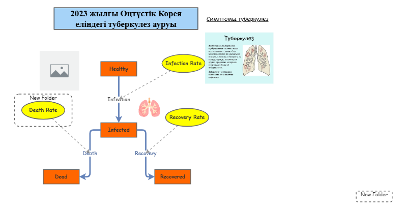 Өзіндік жұмысы 1 (жүйелік динамика) | Insight Maker