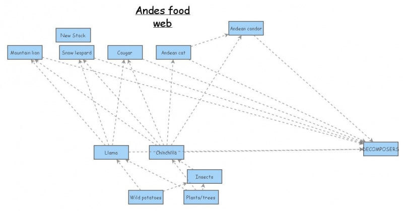 Andean food chain | Insight Maker