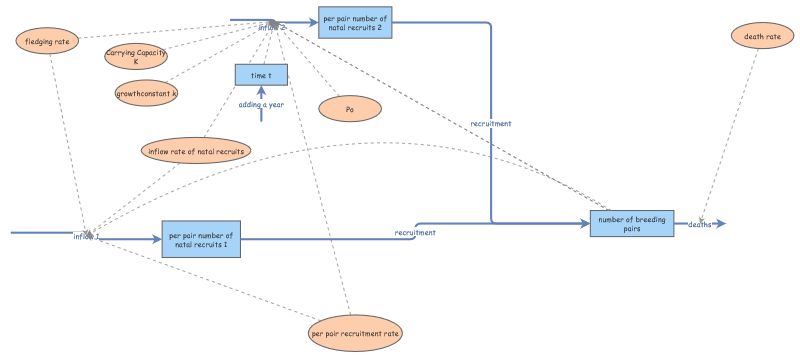 Logistic Natal Recruitment Model | Insight Maker