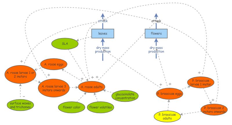 The model of plant-herbivore-pollinator | Insight Maker