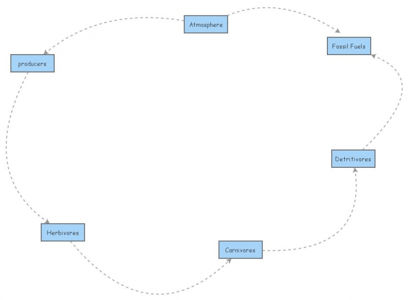 Chloe hughes ecosystem | Insight Maker