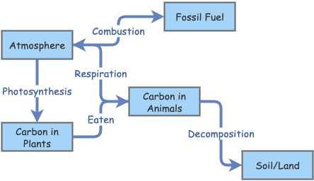 Carbon Stock and Flow | Insight Maker