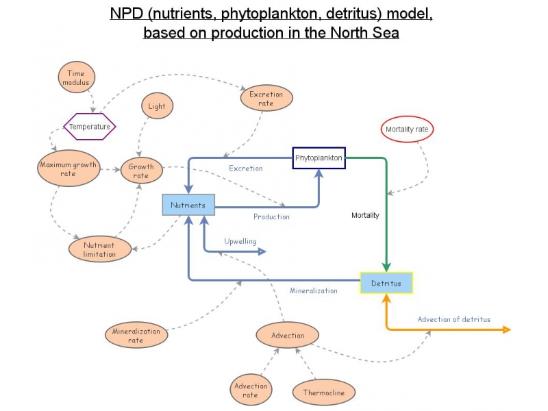 NPD model FV85 | Insight Maker