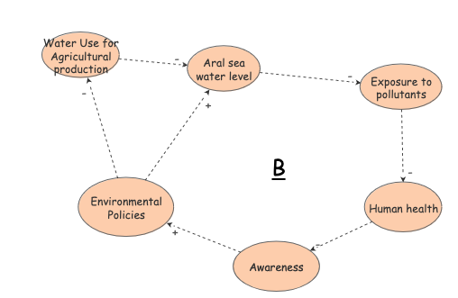 My Insight - CLD Aral Sea | Insight Maker