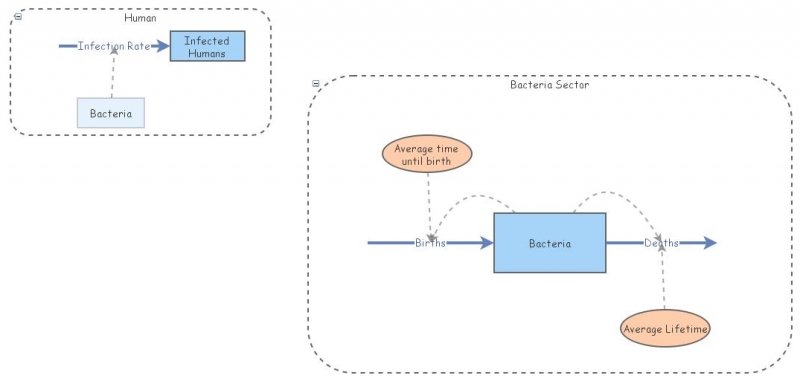 Humans and Bacteria | Insight Maker