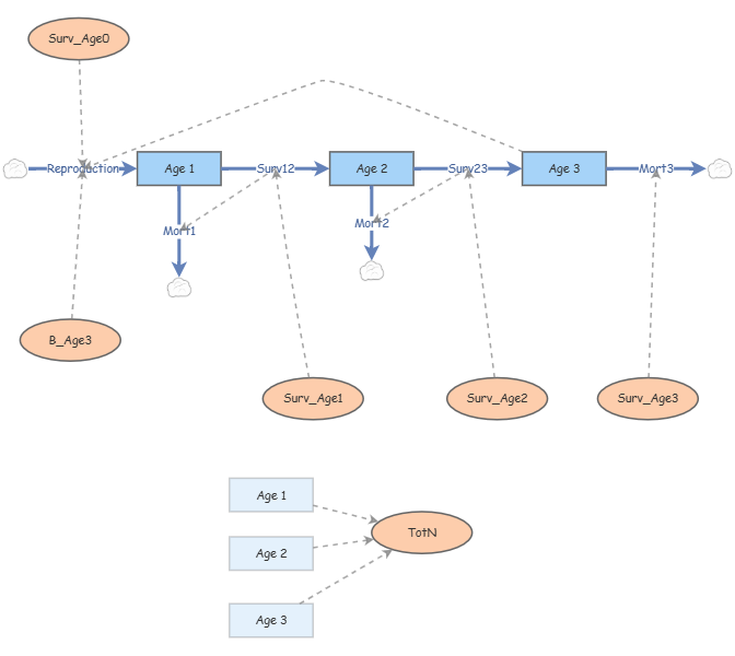 Age-Structure Model_DevonArdesco | Insight Maker