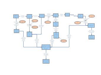 Final Project | Insight Maker