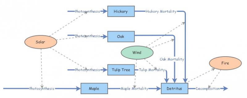 Tree Diagram | Insight Maker