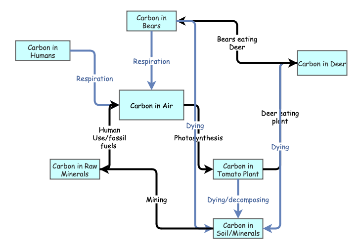 carbon | Insight Maker