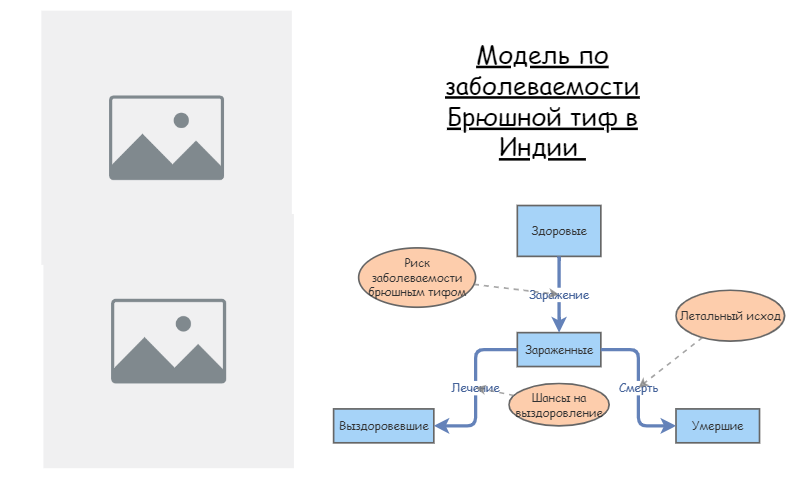 Typhoid Fever India | Insight Maker