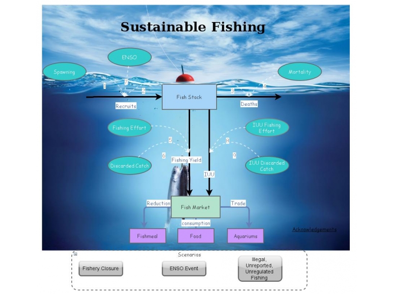 Stage 4 - Sustainable Fishing Model | Insight Maker