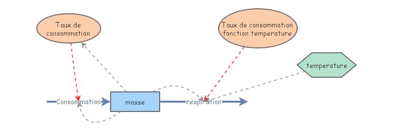 Exercice Respiration | Insight Maker