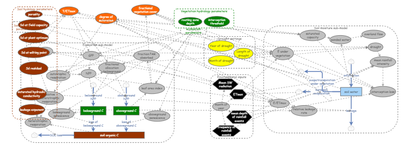 Clone of Simple Terrestrial Ecosystem Model - Soil Moisture (STEM-SM) | Insight Maker