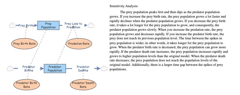 Modeling Homework #2 Prey/Predator Dynamics | Insight Maker