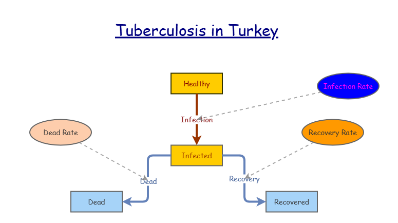 Tuberculosis in Turkey | Insight Maker