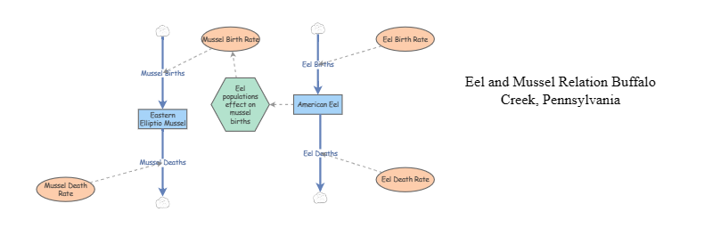 Mussel and Eel population modeling | Insight Maker