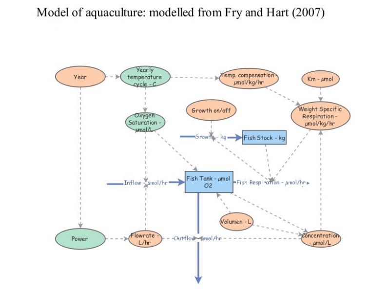 Final Aquaculture Model | Insight Maker