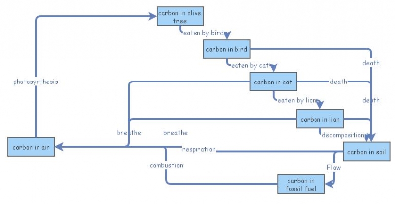 carbon | Insight Maker