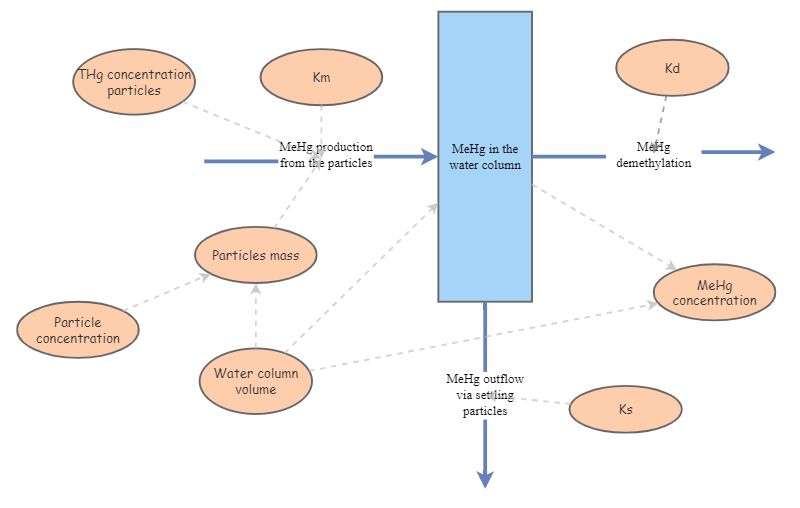 MeHg Steady-state model | Insight Maker
