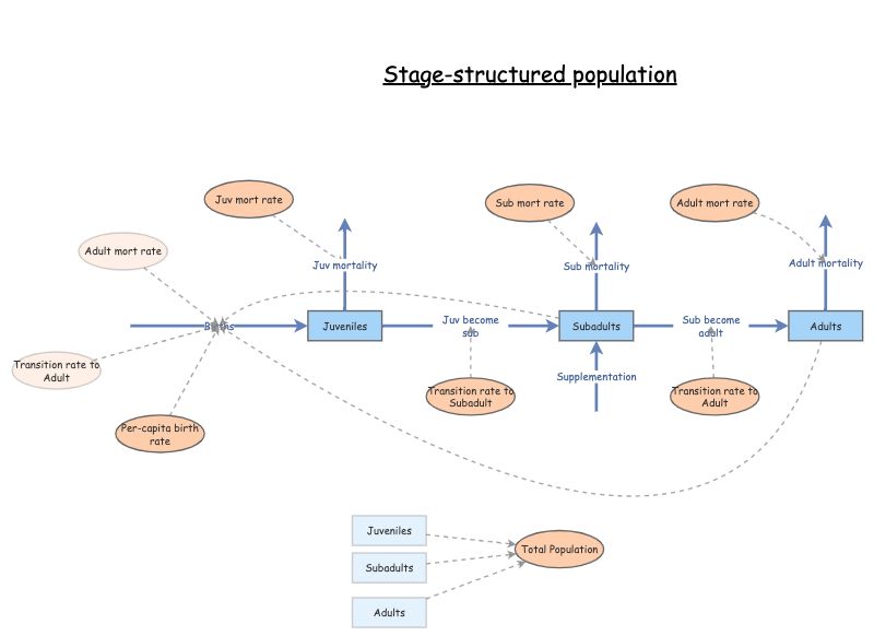 Lecture 7_Stage-structured population | Insight Maker