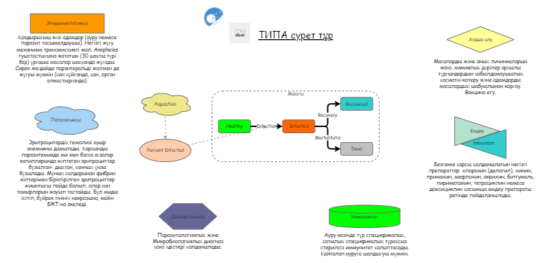My Work | Insight Maker